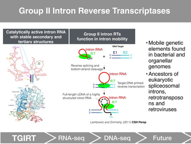High throughput sequencing with Thermostable Group II Intron Reverse Transcriptase | PPT