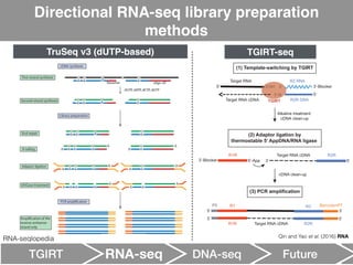 High throughput sequencing with Thermostable Group II Intron Reverse Transcriptase | PPT