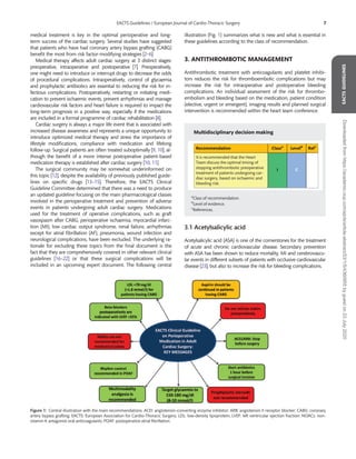 2017 eacts guidelines on perioperative medication in adult cardiac surgery | PDF