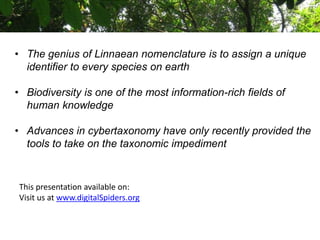 A Multi-Taxon Cyberdiversity Inventory of a Small Caribbean Island | PPT