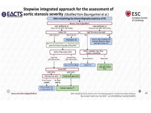 2017 esc eacts guidelines for the management of valvular heart disease | PPT | Free Download