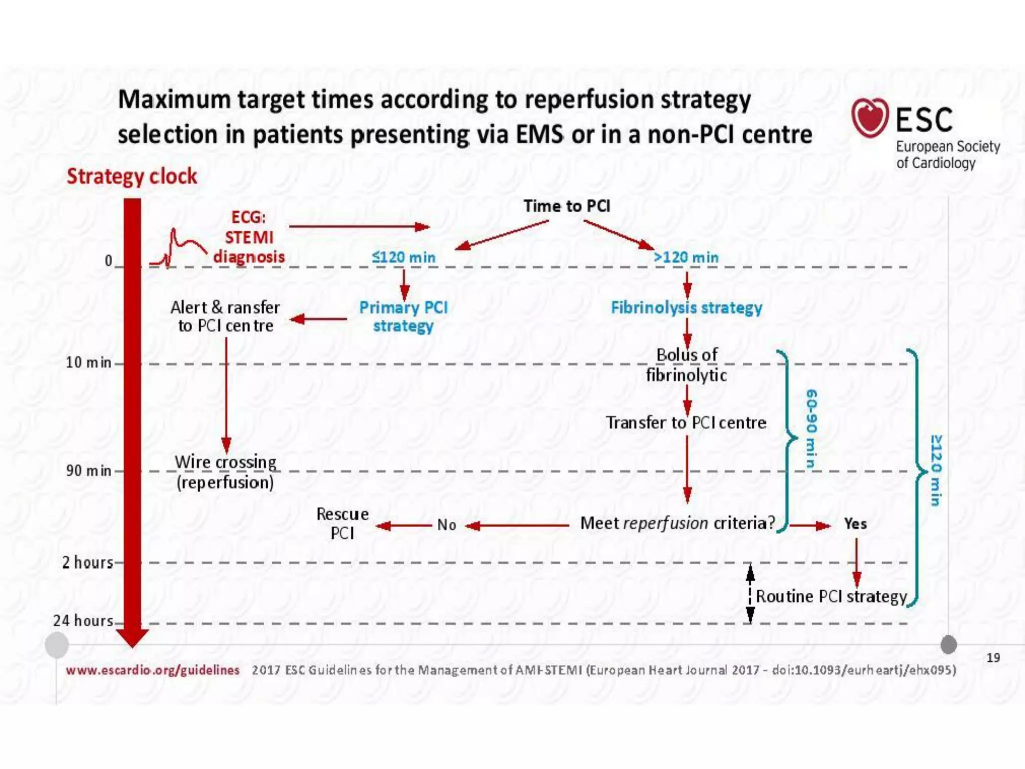 2017 esc guidelines for the management of acute myocardial infarction ...