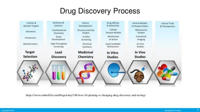 From Pharmacology to Drug Development ~Preclinical Oncology Animal m…