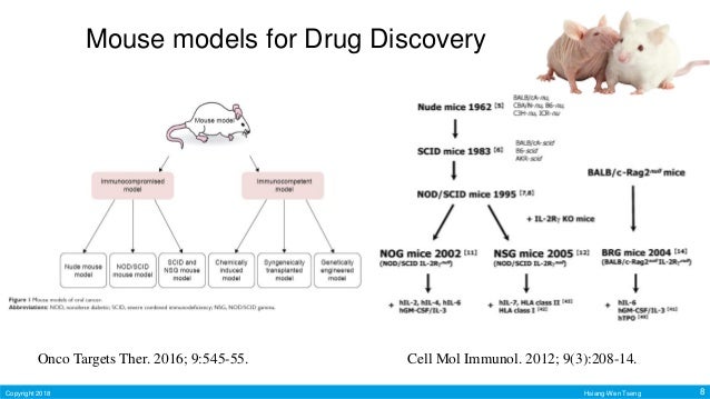From Pharmacology to Drug Developmentvv~Preclinical Oncology Animal m…