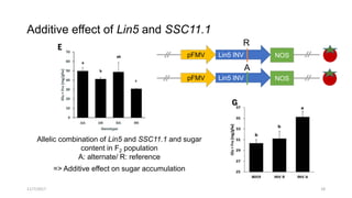 Journal club: genetic analysis of tomato flavor | PPT