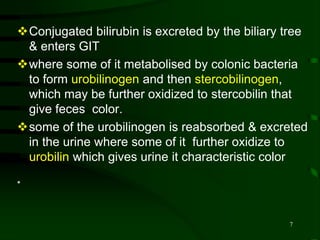 2017 lecture 1 neonatal Jaundice..pptx