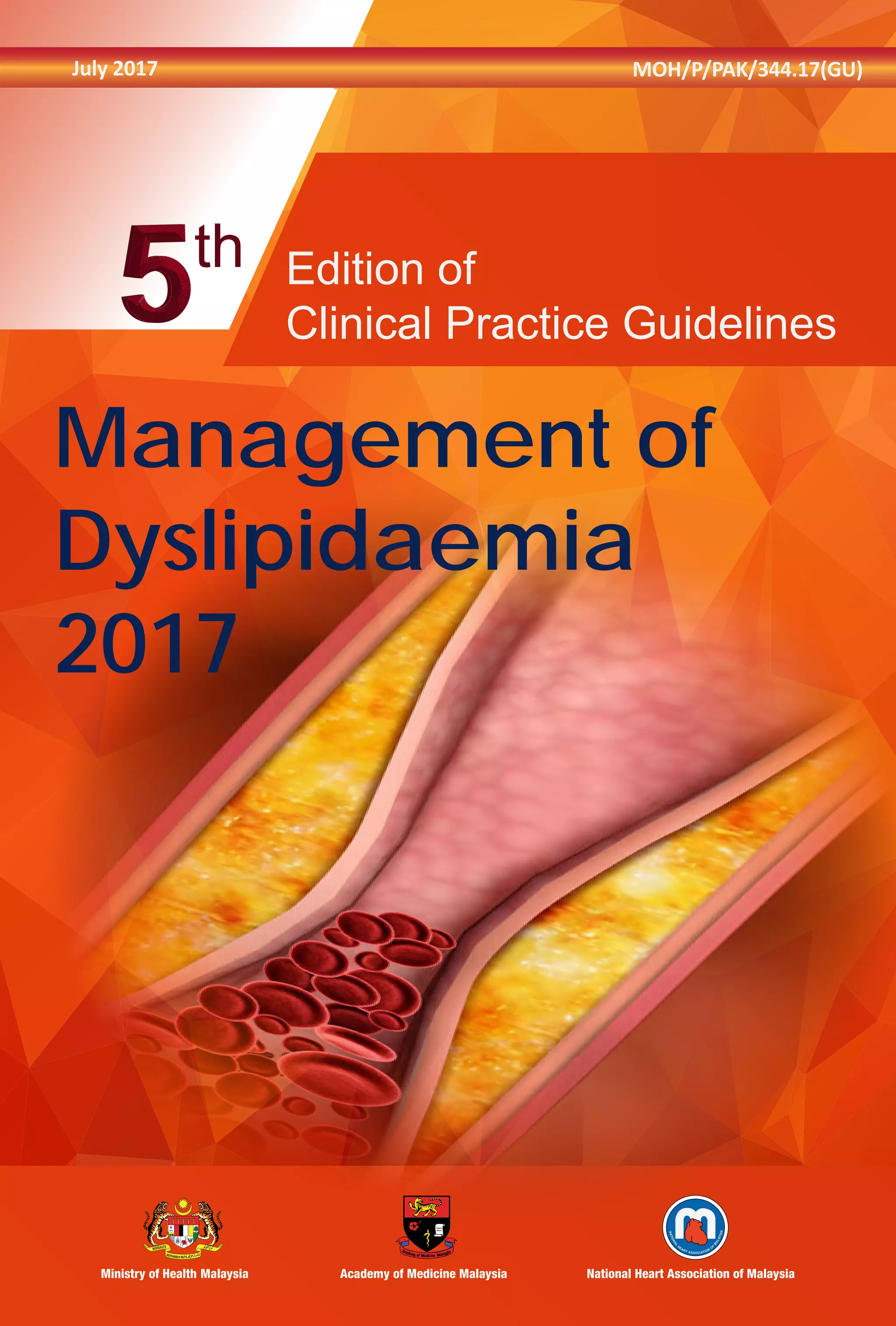 2017 malaysian cpg lipid guideline | PDF