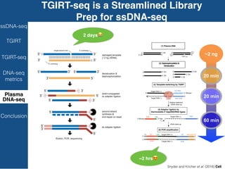 Use of TGIRT for ssDNA-seq | PDF