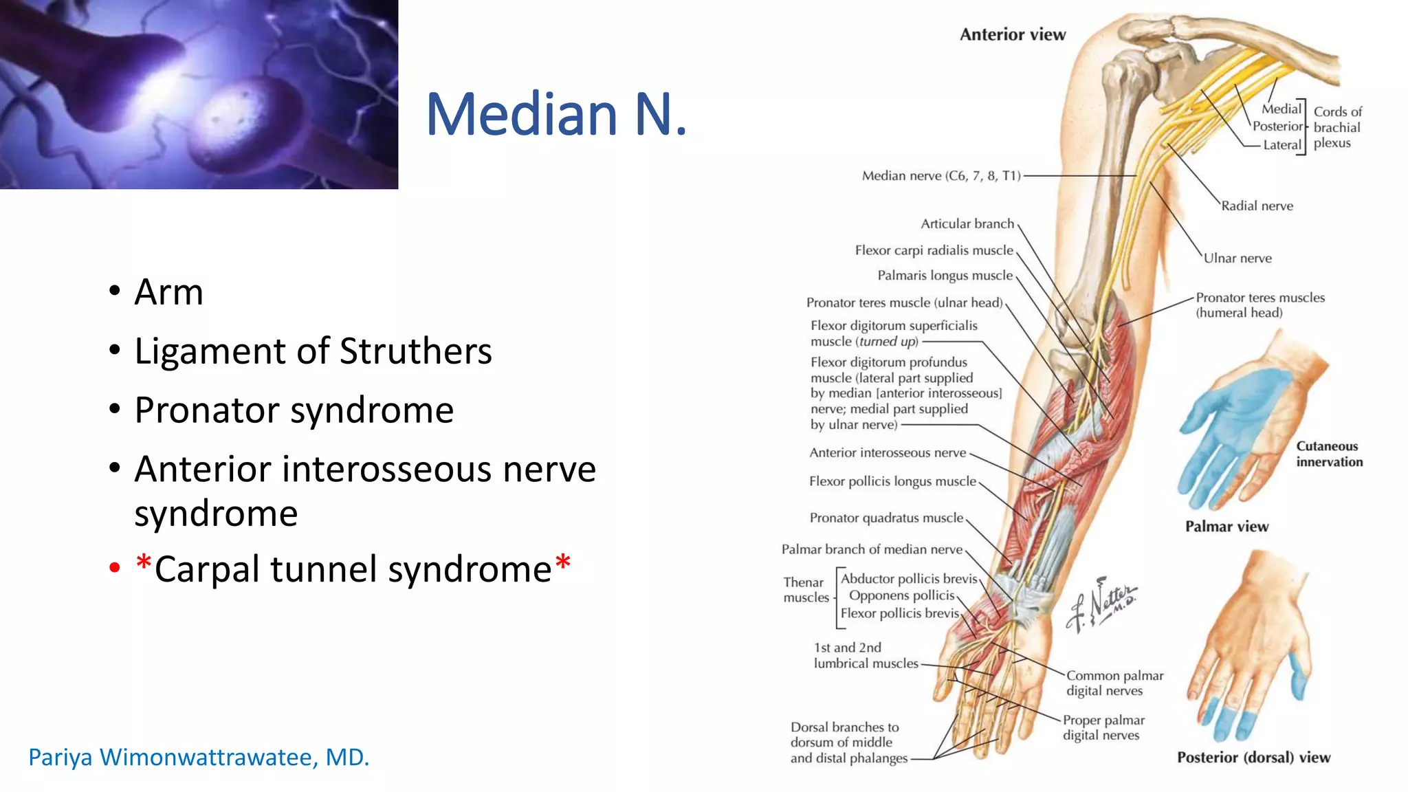 Nerve Entrapment & Injury for medical student 2017 | PPSX