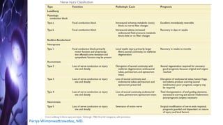 Nerve Entrapment & Injury for medical student 2017 | PPSX