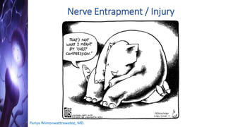 Nerve Entrapment & Injury for medical student 2017 | PPSX