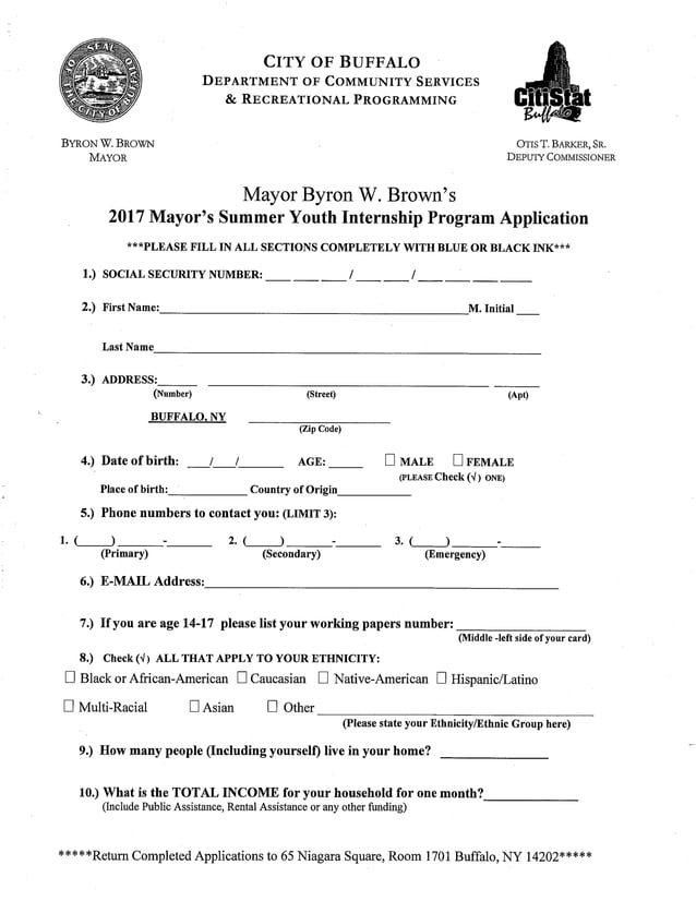 2017 msip application | PDF
