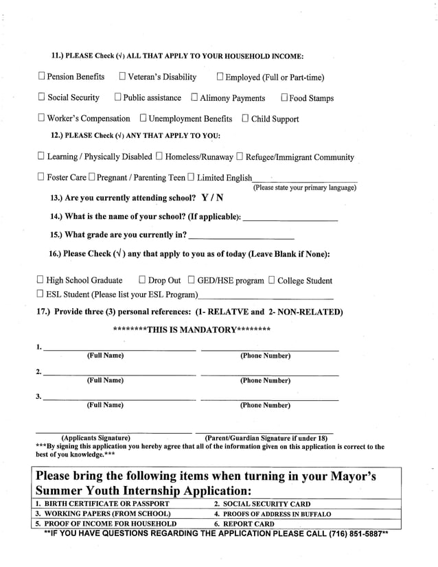 2017 msip application | PDF