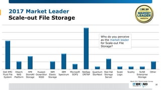 2017 Networking & Scale-out Storage Brand Leader Mini-Report | PPT