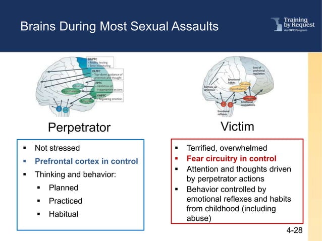 2017 neurobiology of trauma and Sexual Assault