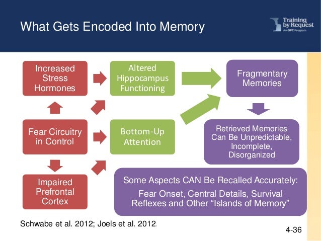 2017 neurobiology of trauma and Sexual Assault