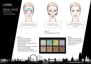 2017 Lamel Professional | PDF