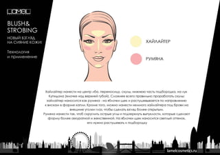 2017 Lamel Professional | PDF