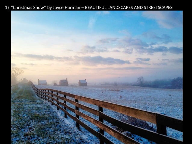 2017 Photo Contest Voting | PPT