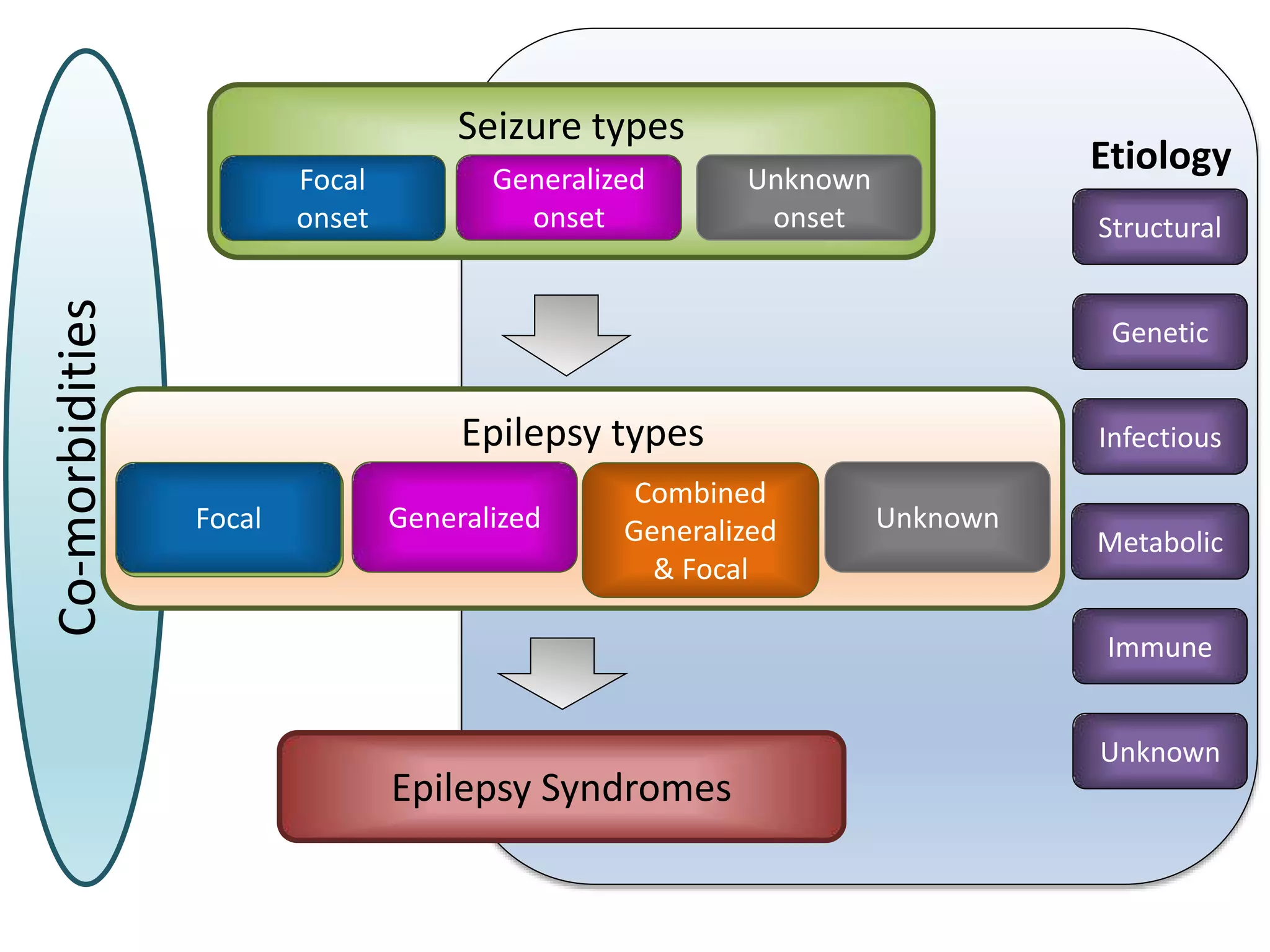 2017 revised ILEA classification of seizures | PPTX