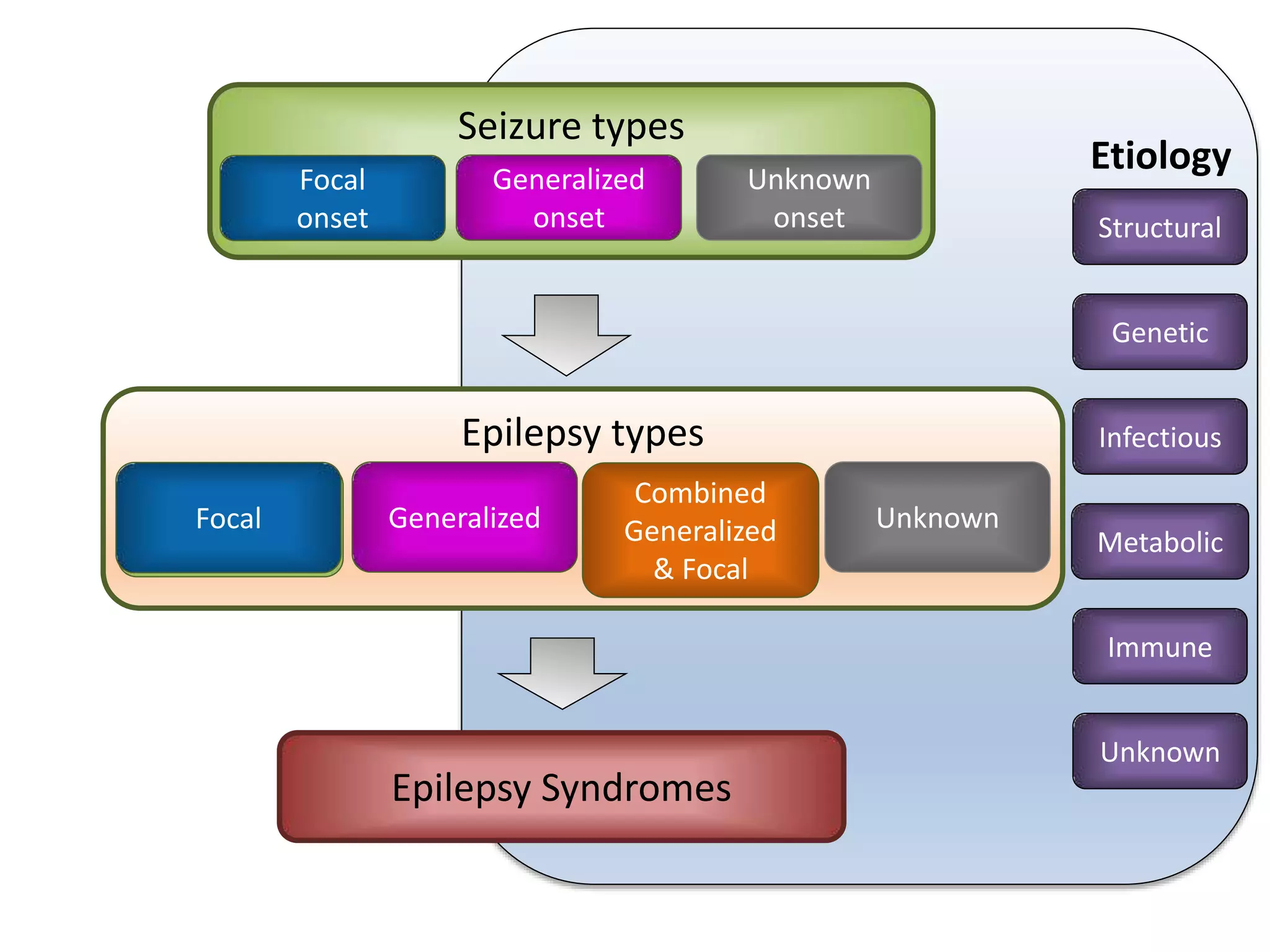 2017 revised ILEA classification of seizures | PPTX