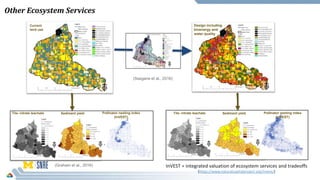 The viability of growing shrub willow as bioenergy buffer | PPTX