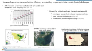 The viability of growing shrub willow as bioenergy buffer | PPTX