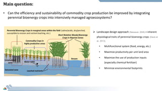 The viability of growing shrub willow as bioenergy buffer | PPTX