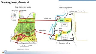The viability of growing shrub willow as bioenergy buffer | PPTX