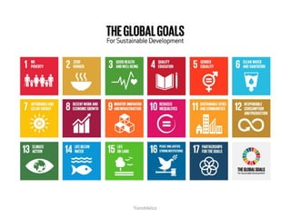 2017 UN SDG World and Country monitor board | PPT