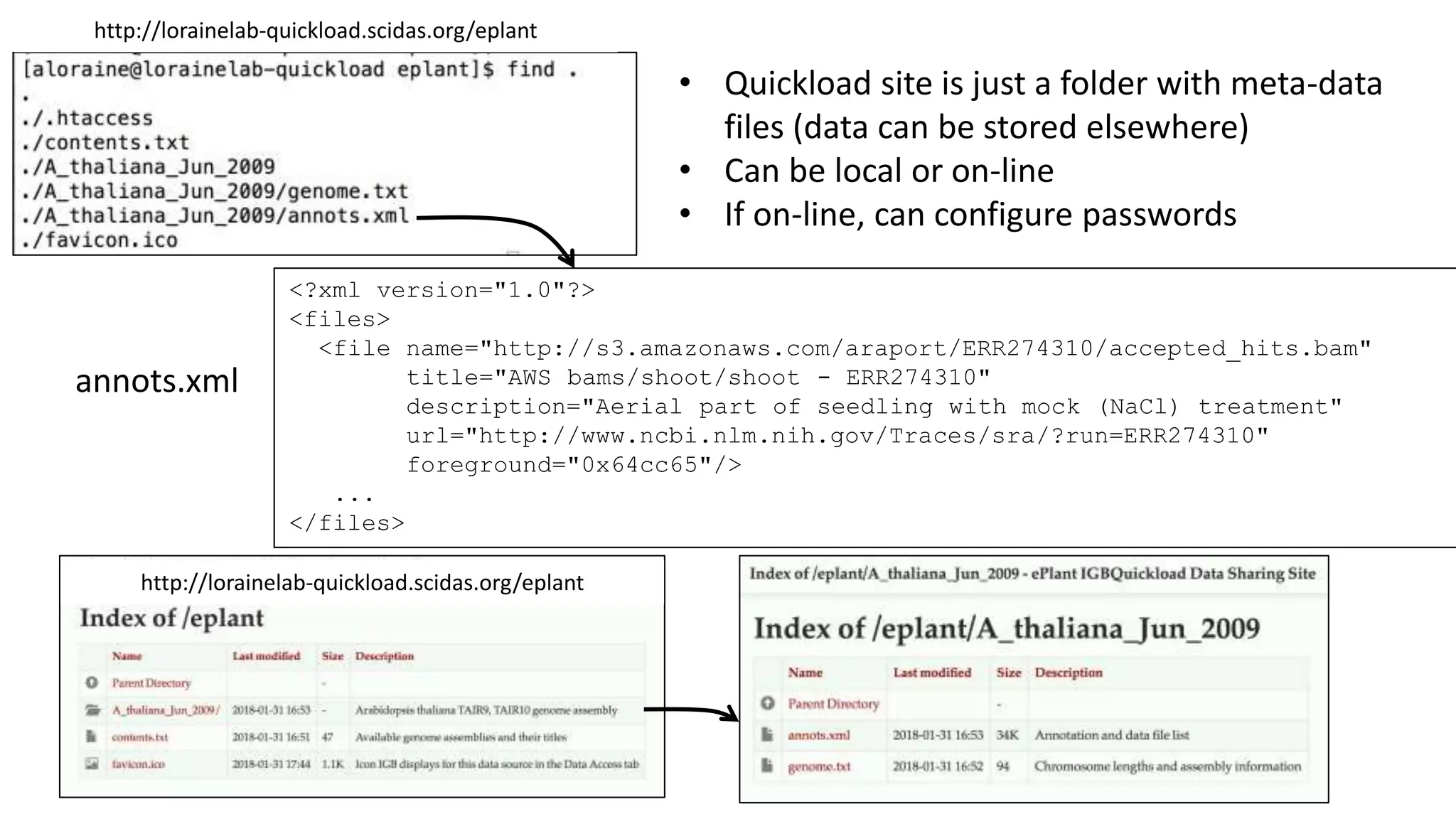 Visualize genomes with Integrated Genome Browser | PPT