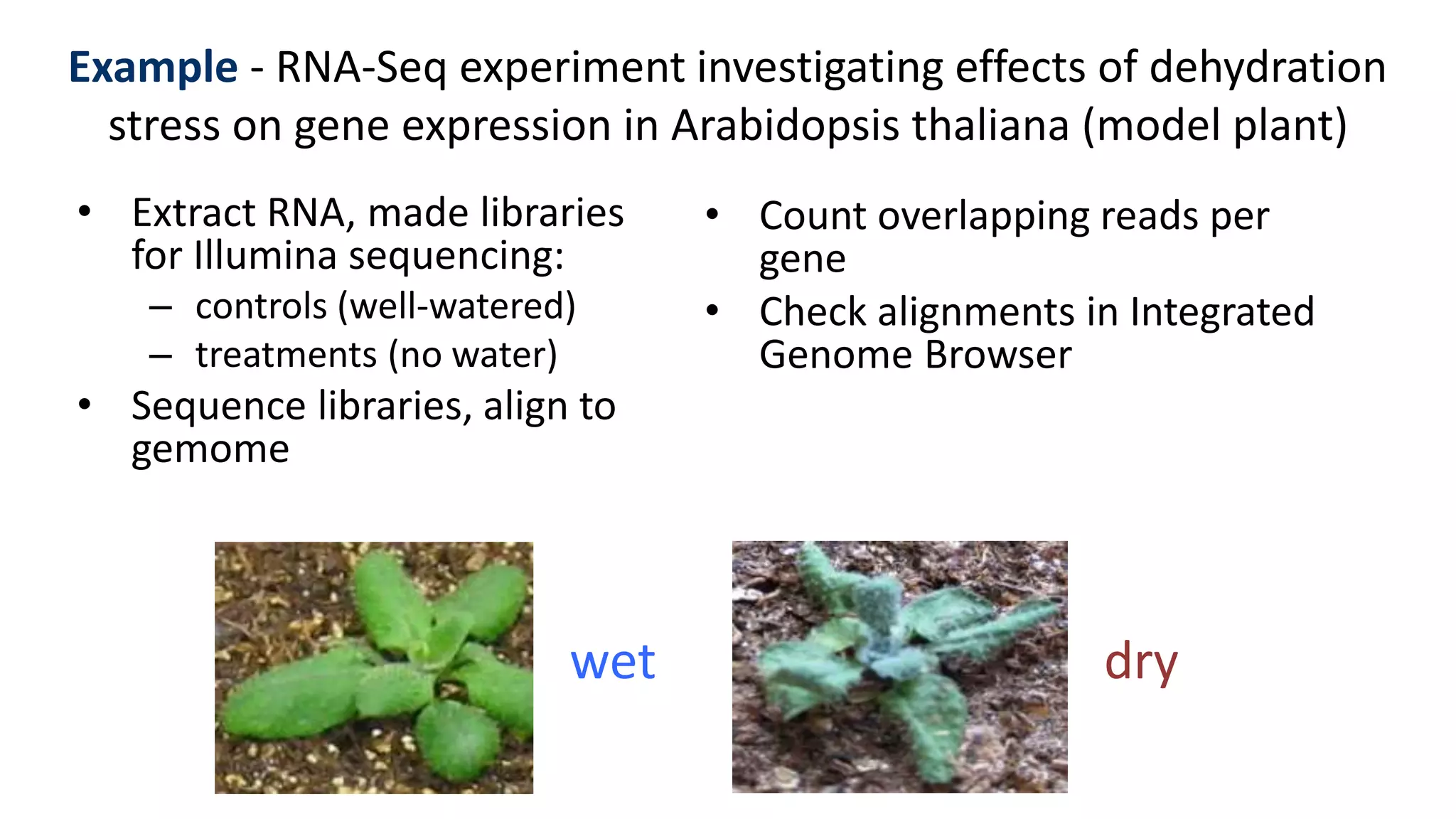 Visualize genomes with Integrated Genome Browser | PPT
