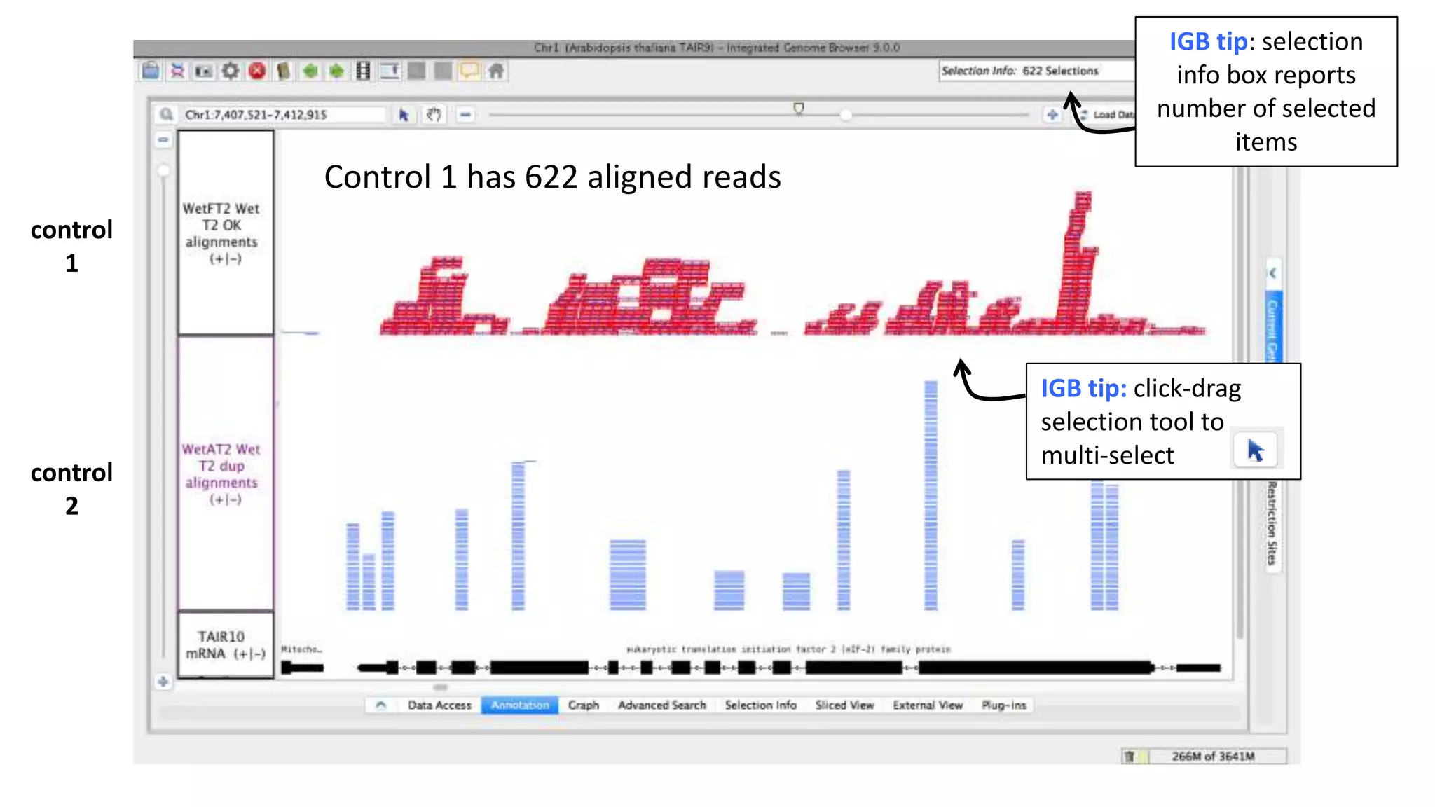 Visualize genomes with Integrated Genome Browser | PPT