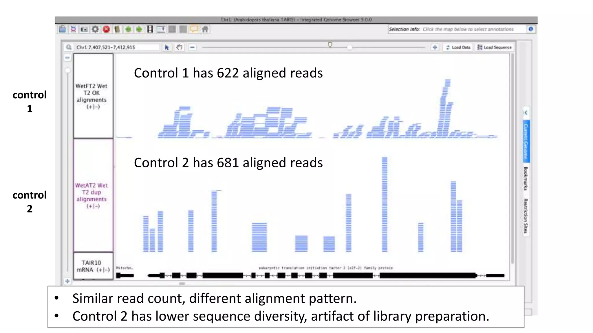 Visualize genomes with Integrated Genome Browser | PPT