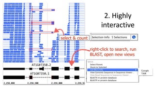Visualize genomes with Integrated Genome Browser | PPT