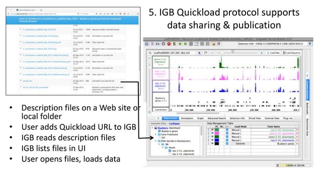 Visualize genomes with Integrated Genome Browser | PPT