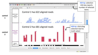 Visualize genomes with Integrated Genome Browser | PPT
