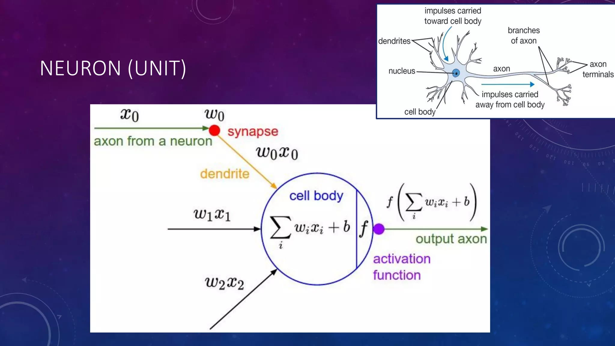 Deep Feed Forward Neural Networks and Regularization | PPT Deep Feed Forward Neural Networks and Regularization | PPT