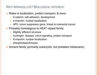 2018-05-24 Research update on Armadillo Repeat Proteins: Evolution and ...