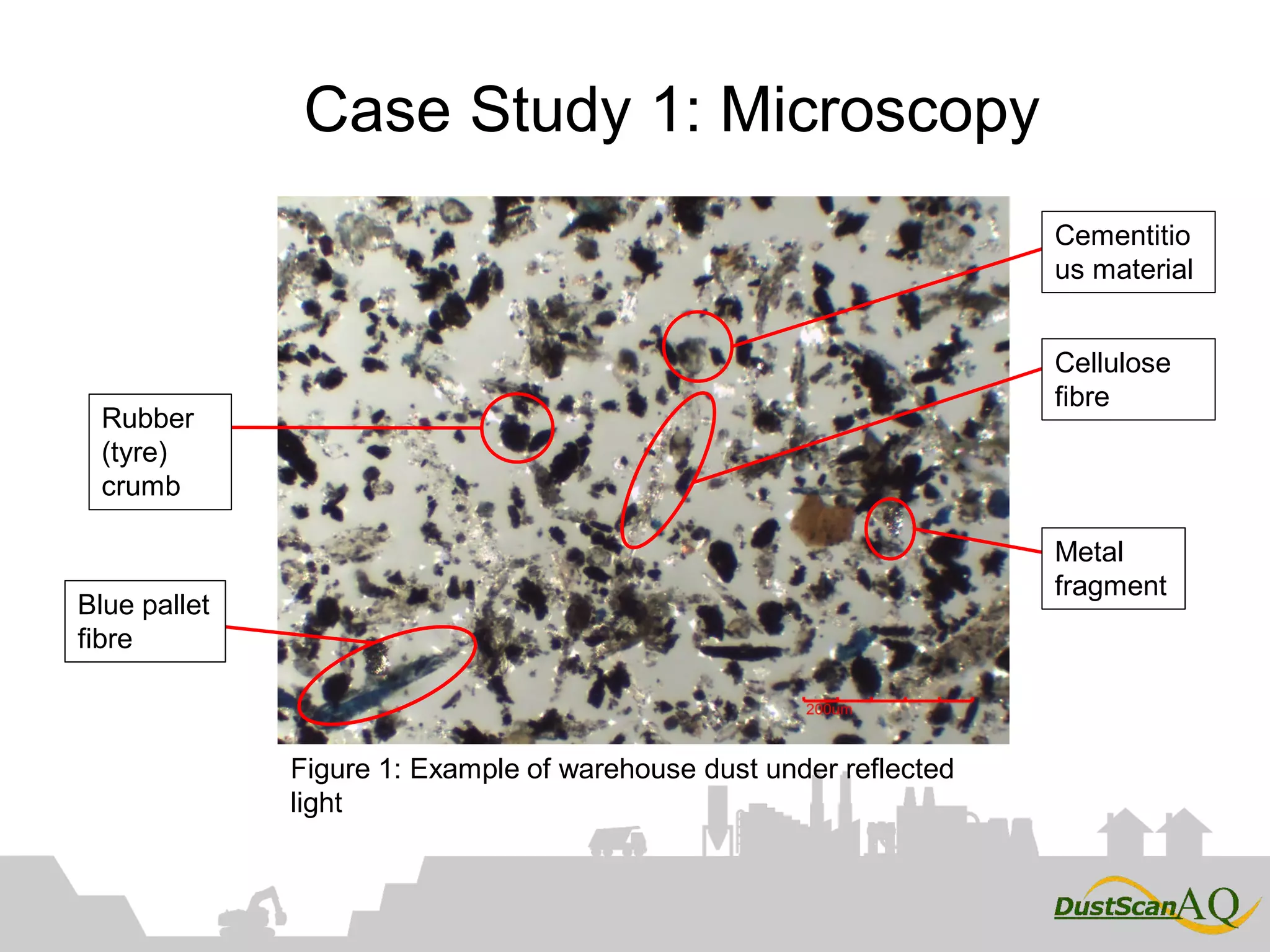 What is in my dust? - Andrew Green | PDF