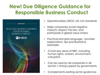 Promoting and Enabling Responsible Business Conduct | PDF