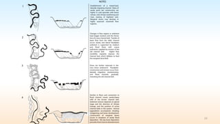 2018-08-31 - Tim Pietsch - Death of a paleochannel | PPTX