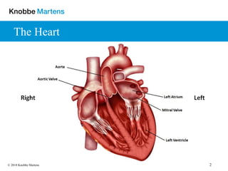 CardiAQ - An IP Success Story | PPT