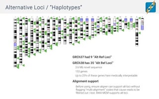 Using the GRCh38 reference assembly for clinical interpretation in ...