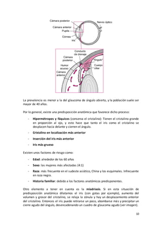 (2018-10-02) ABORDAJE DEL OJO ROJO EN ATENCION PRIMARIA.DOC