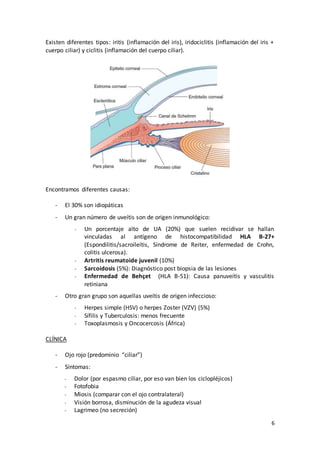 (2018-10-02) ABORDAJE DEL OJO ROJO EN ATENCION PRIMARIA.DOC