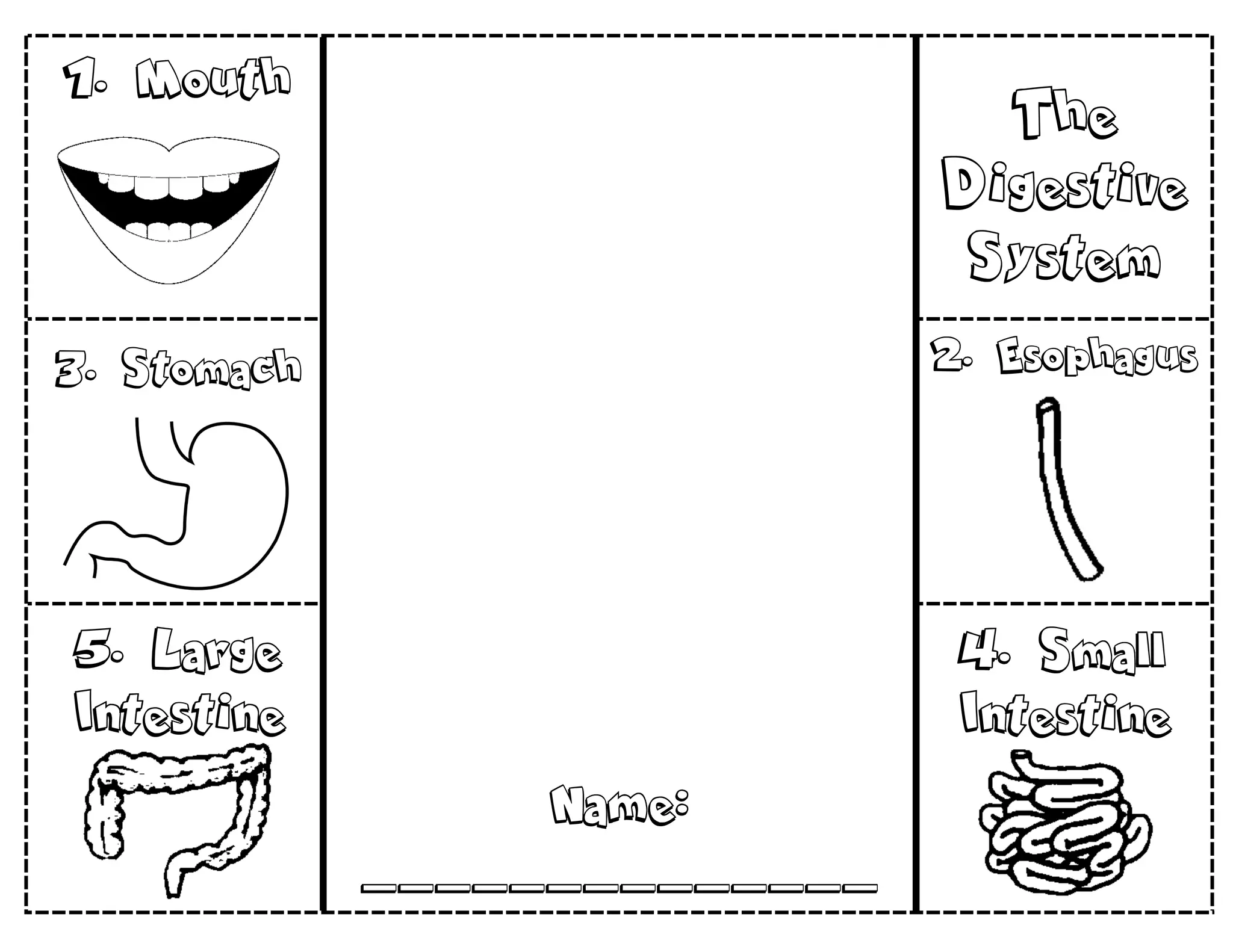 2018 10-04 digestive system class activity ii | PDF