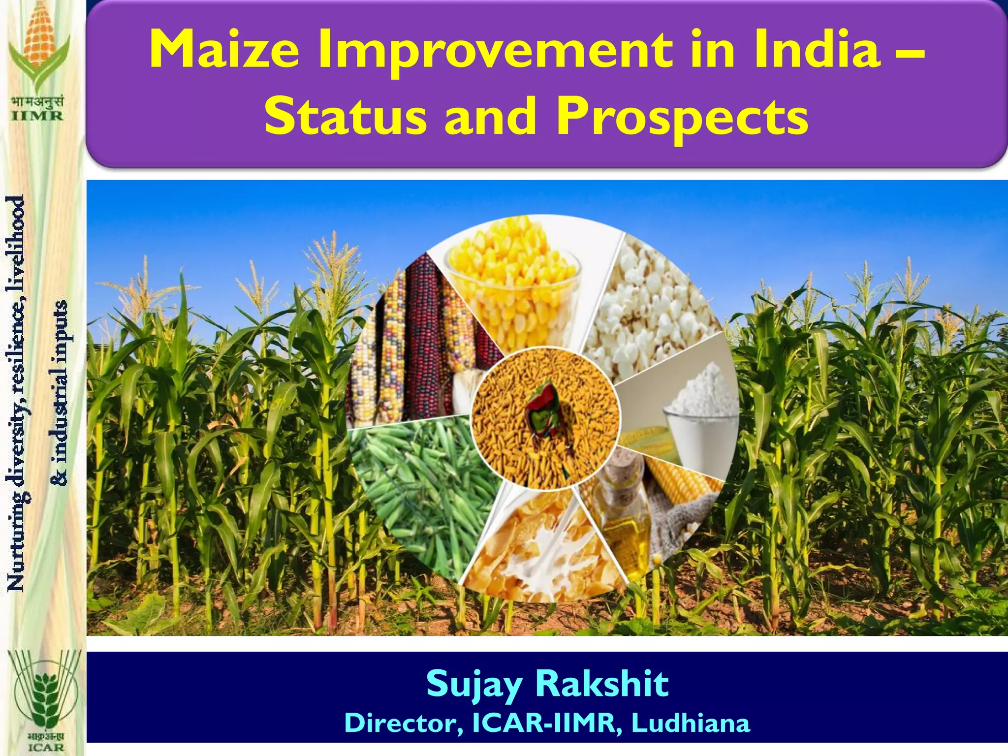 Maize improvement in India | PPT
