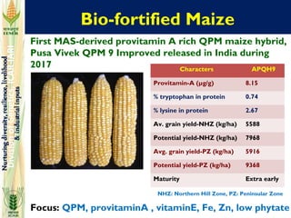 Maize improvement in India | PPT