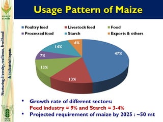 Maize improvement in India | PPT